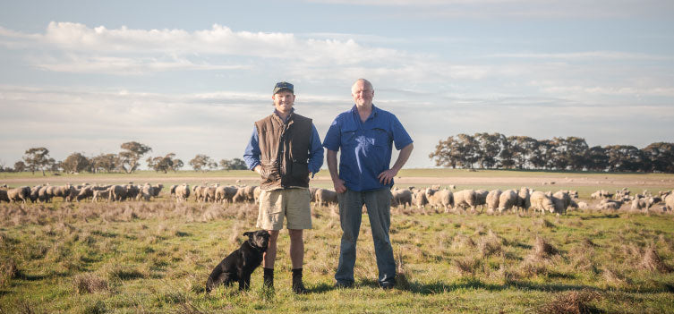 Meet the Farmer: Will Limbert - MiniJumbuk